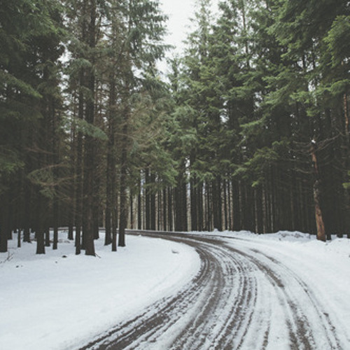 Stream Nicolas Rolon 5 music | Listen to songs, albums, playlists for ...