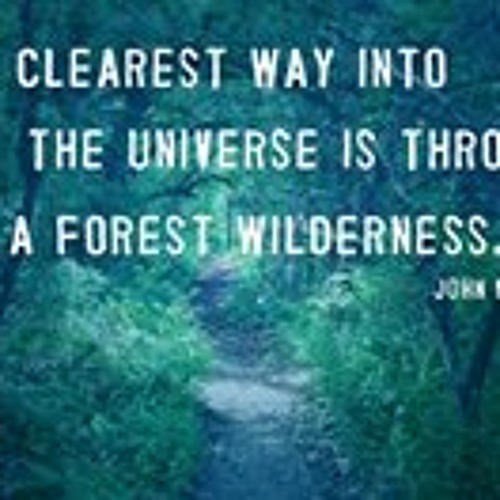 Stream Alexis Dempsey 1 music | Listen to songs, albums, playlists for ...