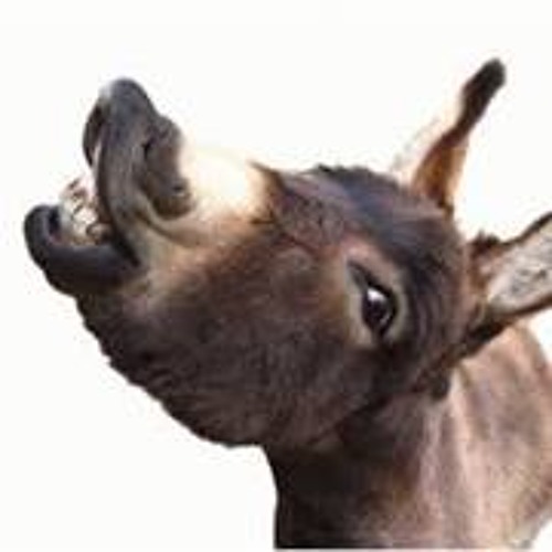 Stream Hugh Jasol music | Listen to songs, albums, playlists for free ...