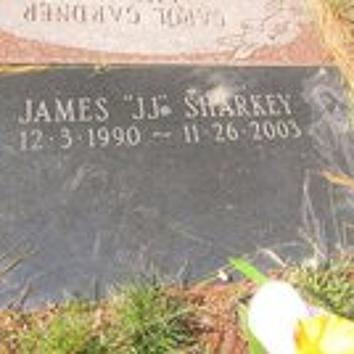 Stream Pat Sharkey 1 music | Listen to songs, albums, playlists for ...