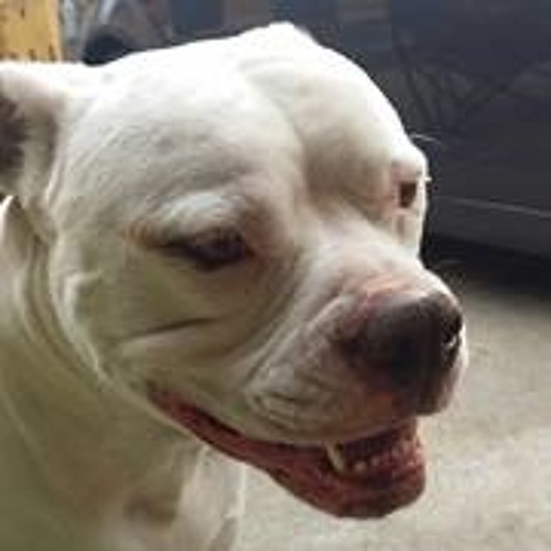 Stream Rafal Olczyk music | Listen to songs, albums, playlists for free ...