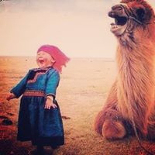 Stream Casey Ketchum music | Listen to songs, albums, playlists for ...