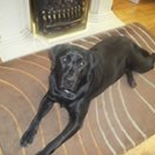 Stream Jack Pittaway music | Listen to songs, albums, playlists for ...