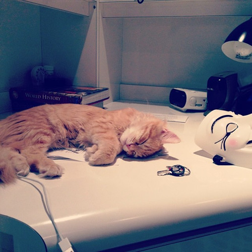 Stream Mark Zulli music | Listen to songs, albums, playlists for free ...