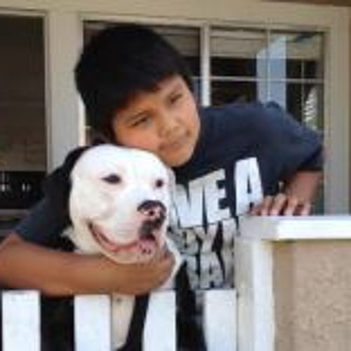 Stream Jerry Salgado 1 music | Listen to songs, albums, playlists for ...