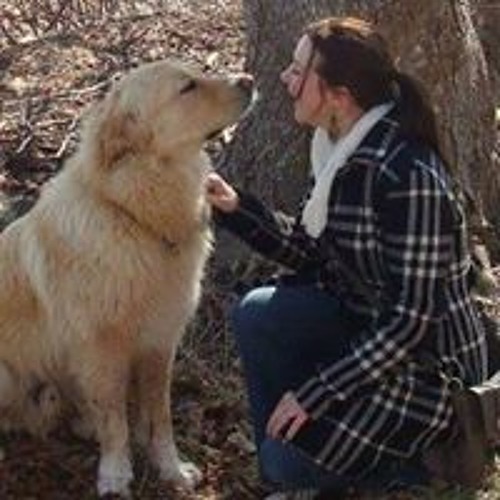 Stream Wendy Hardy music | Listen to songs, albums, playlists for free ...