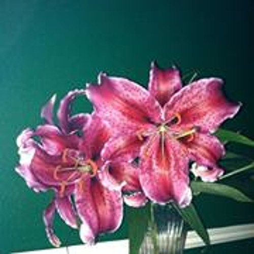 Stream Collette Hilstock music | Listen to songs, albums, playlists for ...