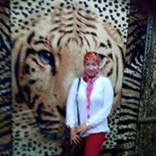 Stream Noha Anwar 3 music | Listen to songs, albums, playlists for free ...