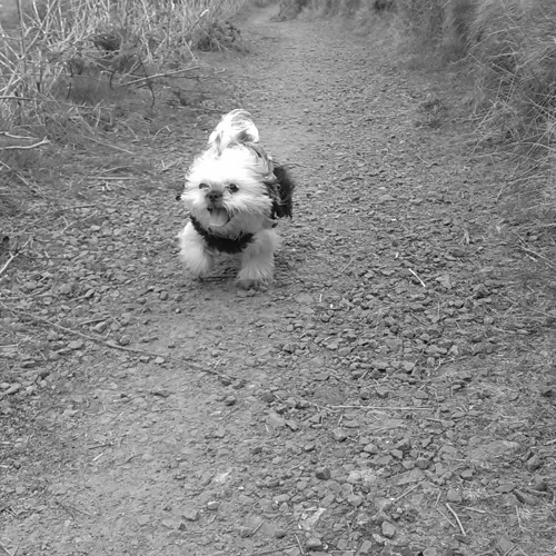 Stream gggyyy music | Listen to songs, albums, playlists for free on ...