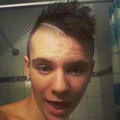 Stream Mike van Houts music | Listen to songs, albums, playlists for ...