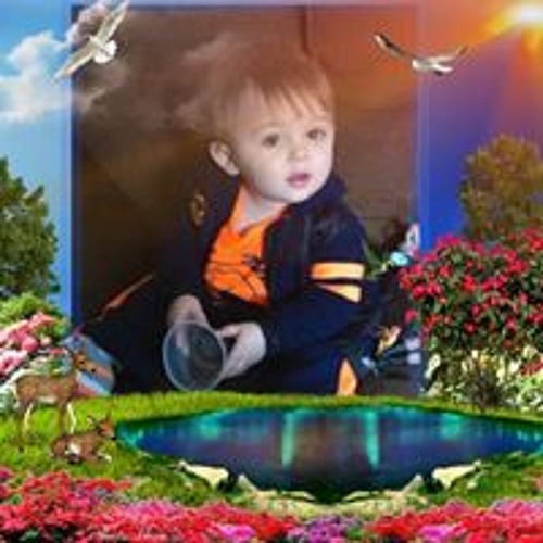 Stream Daisy Colon 4 music | Listen to songs, albums, playlists for ...