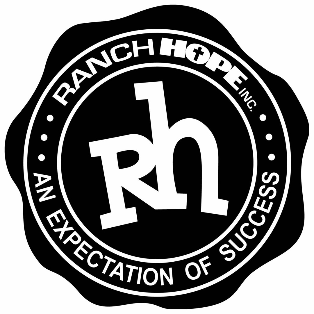 Stream The Leadership of David by RanchHope | Listen online for free on ...