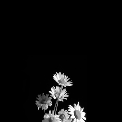 Stream MerylThomas music | Listen to songs, albums, playlists for free ...