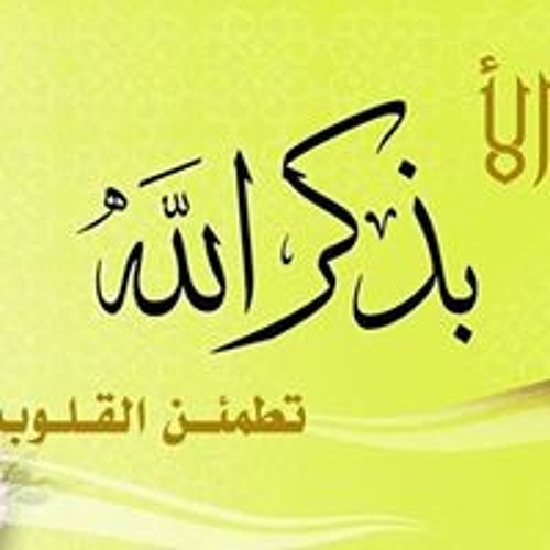 Stream Amir Soliman Eid music | Listen to songs, albums, playlists for ...