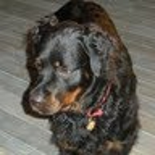 Stream Steve Boger music | Listen to songs, albums, playlists for free ...