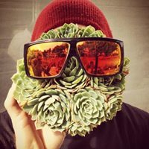 Stream Jason Hopwood 1 music | Listen to songs, albums, playlists for ...