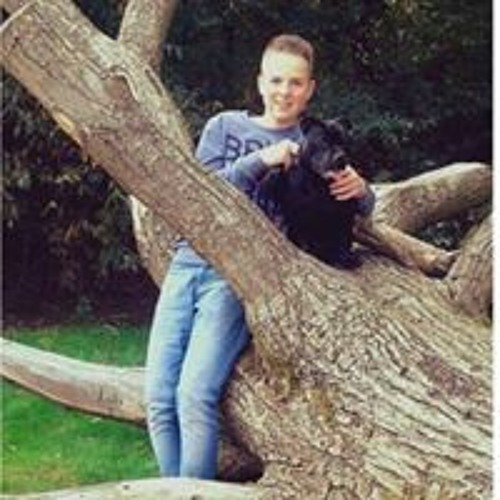 Stream Eric van Delft music | Listen to songs, albums, playlists for ...