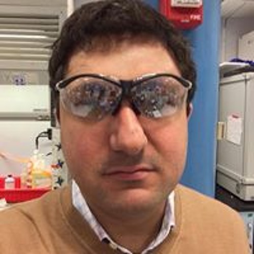 Stream Yoel Ohayon music | Listen to songs, albums, playlists for free ...