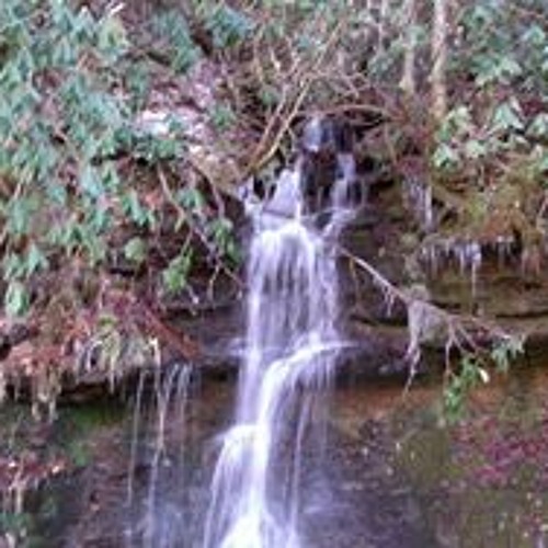 Stream Debbie Pruitt Mullins music | Listen to songs, albums, playlists ...