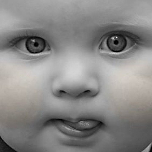 Stream Meshmesh Cat music | Listen to songs, albums, playlists for free ...