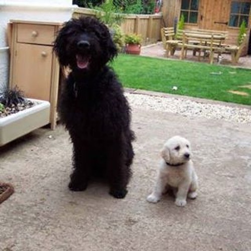 Stream Mark Halling music | Listen to songs, albums, playlists for free ...