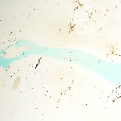 Stream Mark Gerlach Band music | Listen to songs, albums, playlists for ...