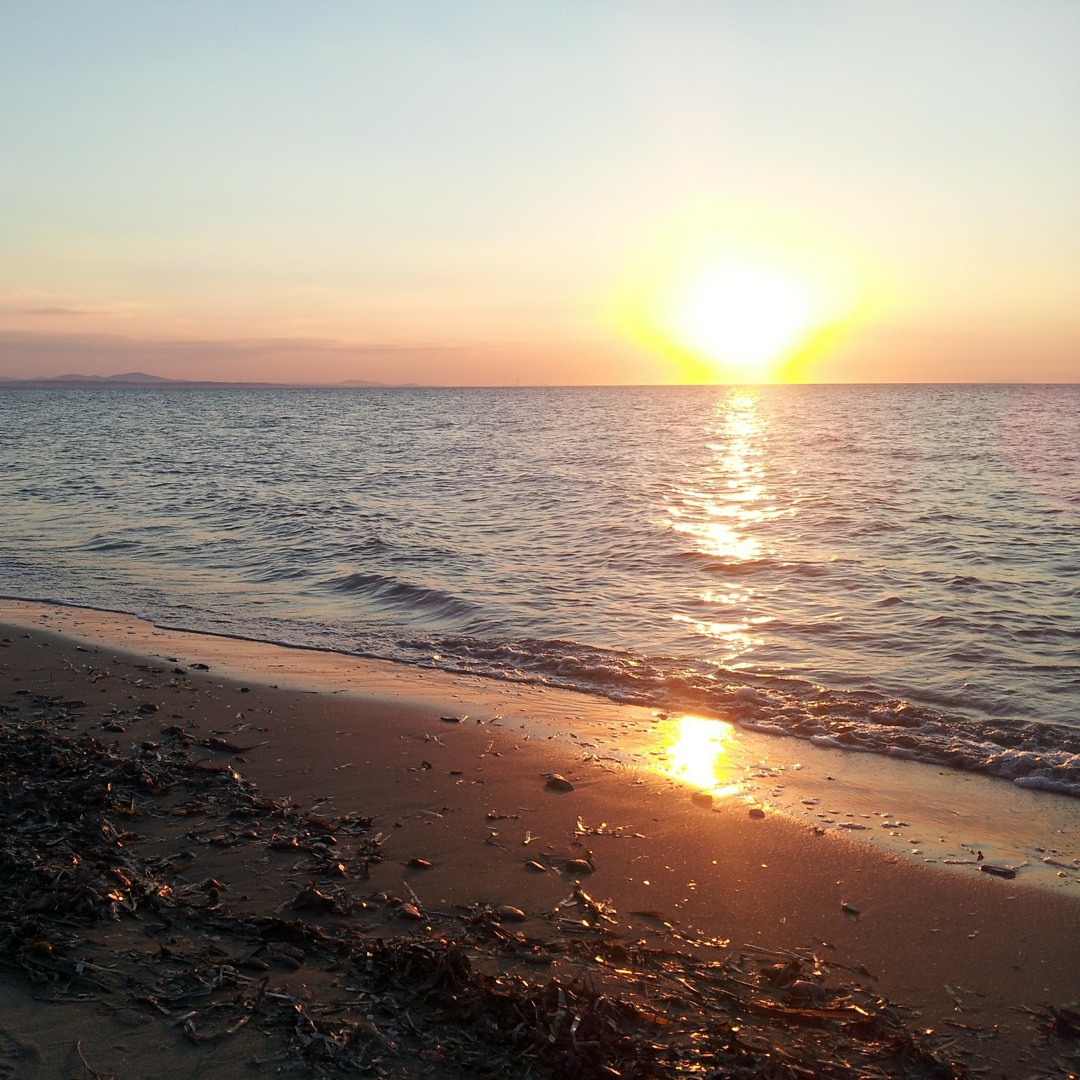 Stream fggghh music | Listen to songs, albums, playlists for free on ...