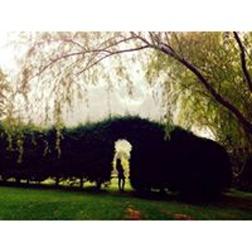 Stream Maria Aguilar 71 music | Listen to songs, albums, playlists for ...