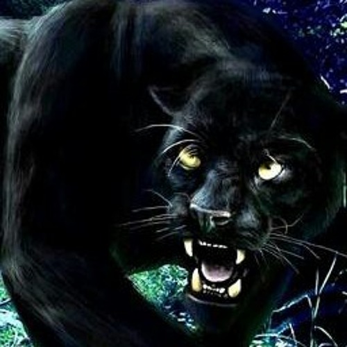 Stream austin_clarkson music | Listen to songs, albums, playlists for ...