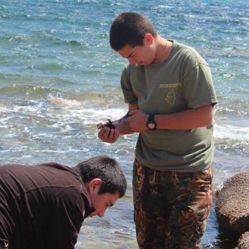 Stream VincePaolini music | Listen to songs, albums, playlists for free ...