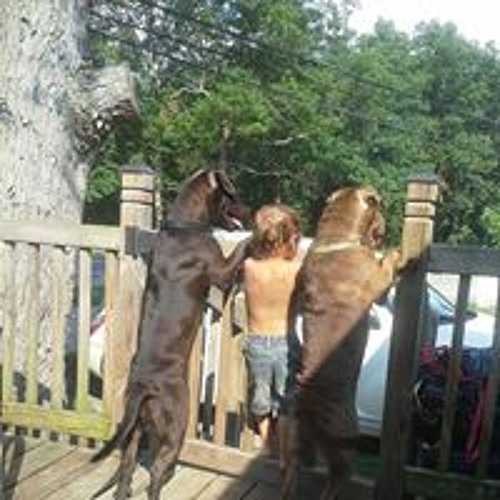 Stream Barbara Eck Ellis music | Listen to songs, albums, playlists for ...