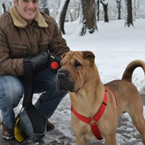 Stream Lucian Luca 1 music | Listen to songs, albums, playlists for ...