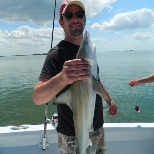 Stream Mark Crouch 1 music | Listen to songs, albums, playlists for ...