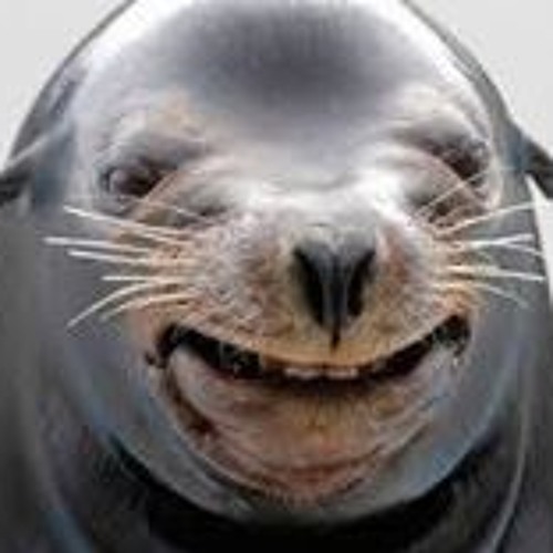 Stream Dylan Hardman 5 music | Listen to songs, albums, playlists for ...