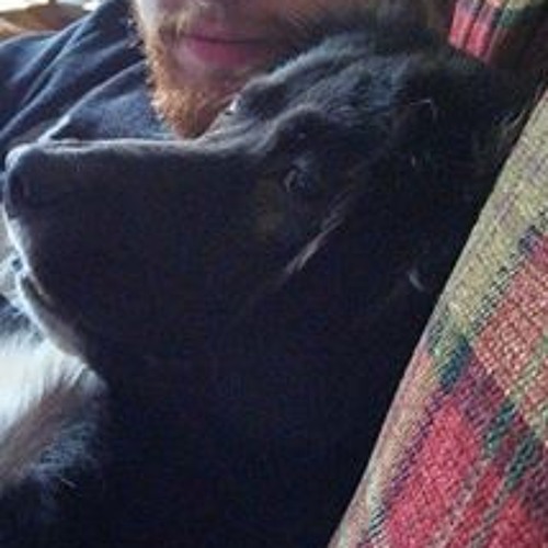 Stream Michael Raim Booth music | Listen to songs, albums, playlists ...