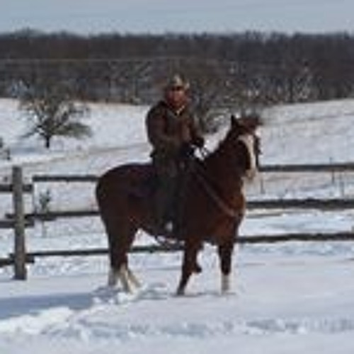 Stream Scott Fuller 12 music | Listen to songs, albums, playlists for ...