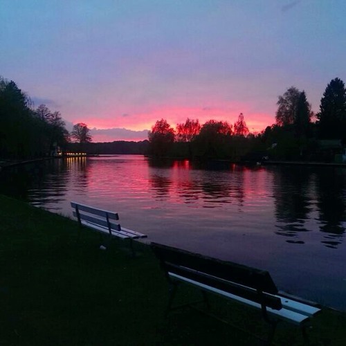 Stream Spring_Break music | Listen to songs, albums, playlists for free ...