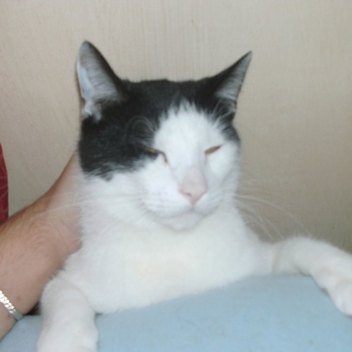 Stream Niels Hartmann music | Listen to songs, albums, playlists for ...