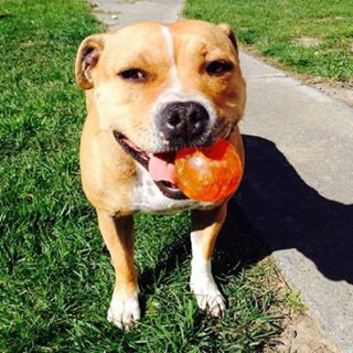 Stream Kate Plunkett 2 music | Listen to songs, albums, playlists for ...