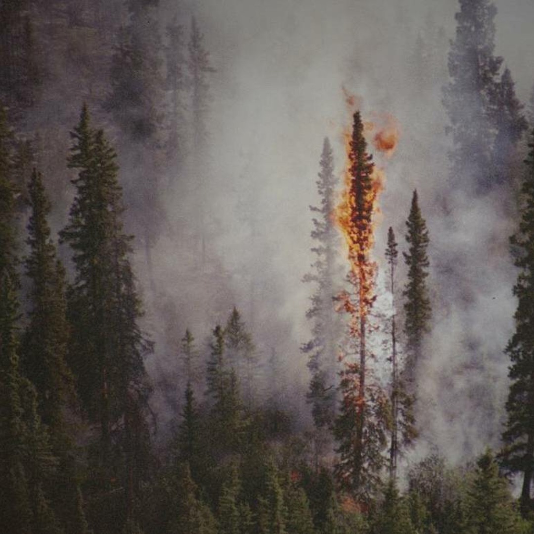 Stream Emancipator music | Listen to songs, albums, playlists for free ...