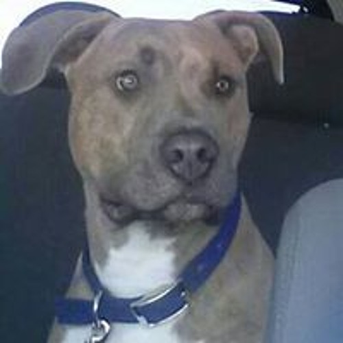 Stream Hiawatha Nash music | Listen to songs, albums, playlists for ...