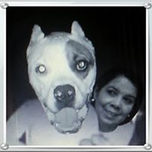 Stream Naomi Stroud music | Listen to songs, albums, playlists for free ...