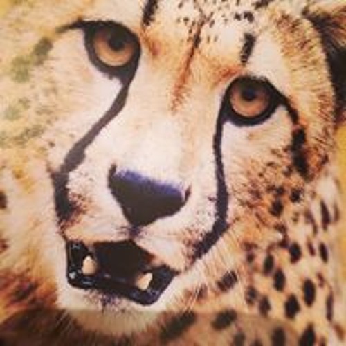 Stream Sarah Louise Bateman music | Listen to songs, albums, playlists ...