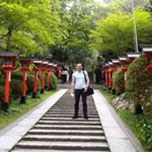 Stream Remus Palimaru music | Listen to songs, albums, playlists for ...