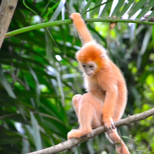 Stream Linus music | Listen to songs, albums, playlists for free on ...