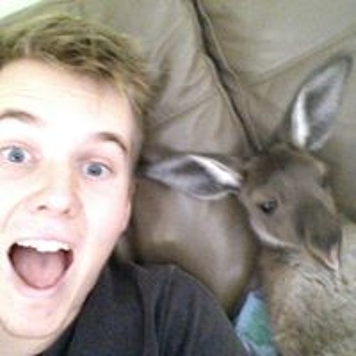 Stream Jordan Hartwig music | Listen to songs, albums, playlists for ...