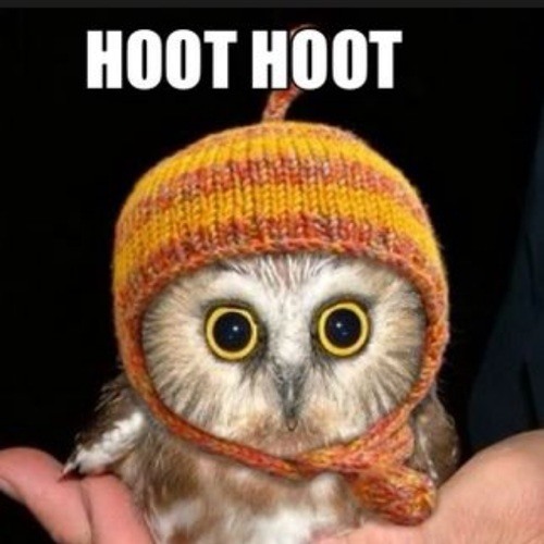 Stream Kelly Marie debnam music | Listen to songs, albums, playlists ...