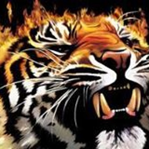 Stream Hell Tiger music | Listen to songs, albums, playlists for free ...