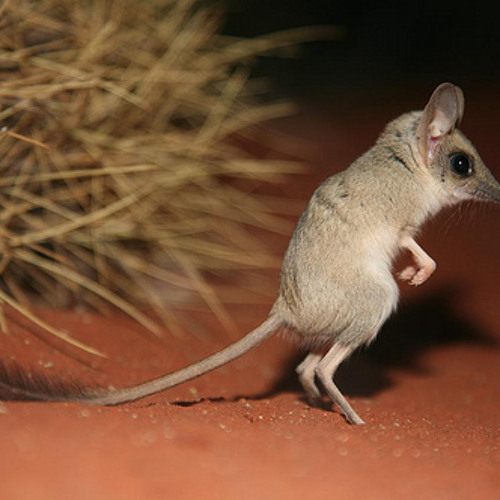 Stream Kultarr music | Listen to songs, albums, playlists for free on ...