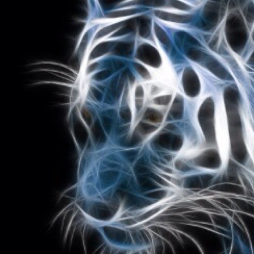 Stream tigerdubstep16 music | Listen to songs, albums, playlists for ...